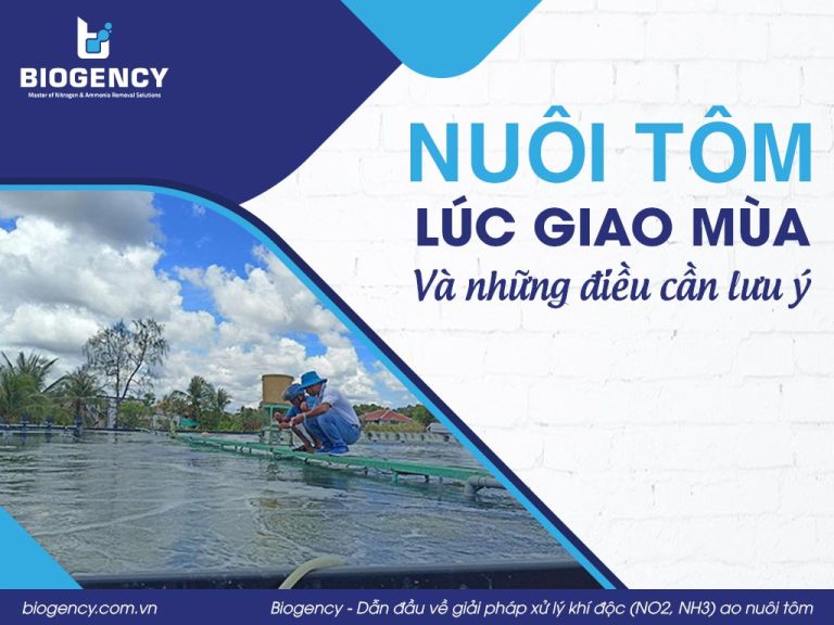 Tin Tức - Biogency
