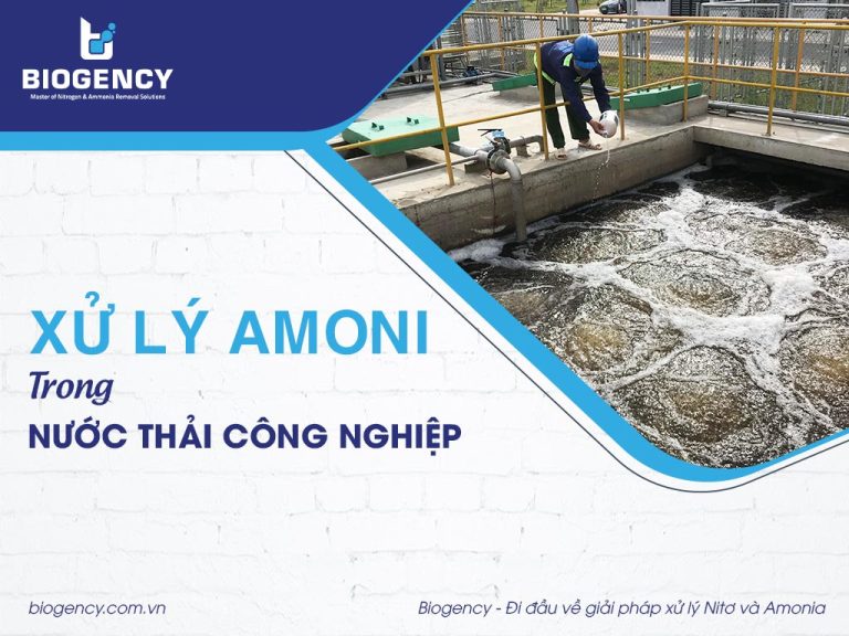 Xử lý Amoni trong nước thải công nghiệp - Biogency