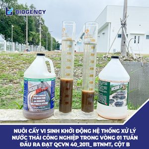 Khắc Phục & Nuôi Dưỡng Hệ Thống Xử Lý Nước Thải - Biogency