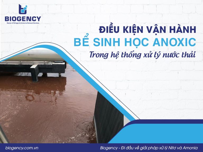 Điều kiện vận hành bể sinh học Anoxic trong hệ thống xử lý nước thải ...