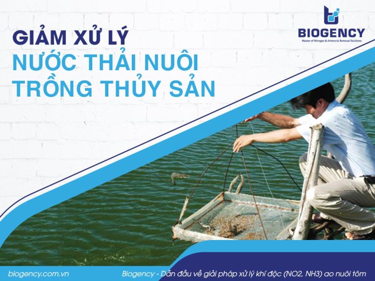 Giảm xử lý nước thải nuôi trồng thủy sản - Biogency