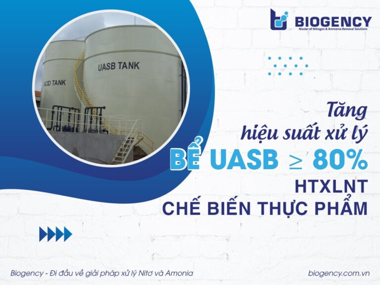 Tăng hiệu suất xử lý bể UASB ≥ 80% HTXLNT chế biến thực phẩm - Biogency