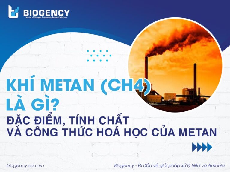 Khí Metan (CH4) là gì? Đặc điểm, tính chất và công thức hoá học của ...
